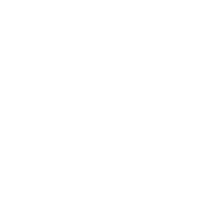 Mitch Vora - Peel Region & Toronto Real Estate Agent