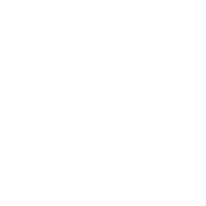 Mitch Vora - Peel Region & Toronto Real Estate Agent